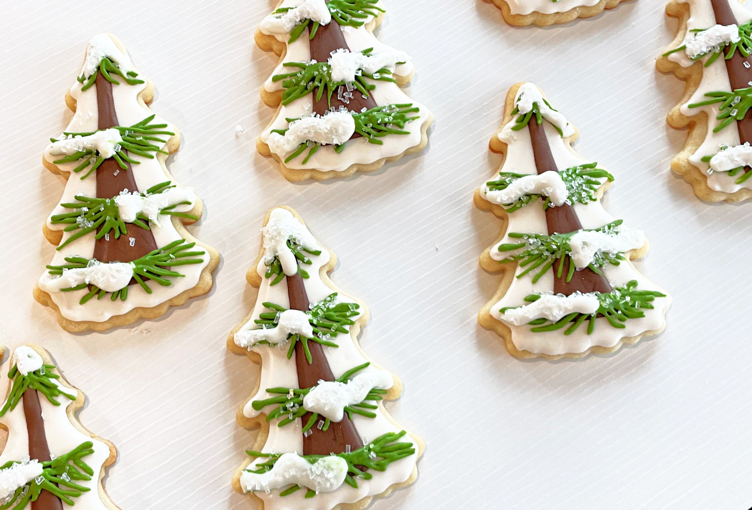 Wintery Pine Sugar Cookies! - Etsy