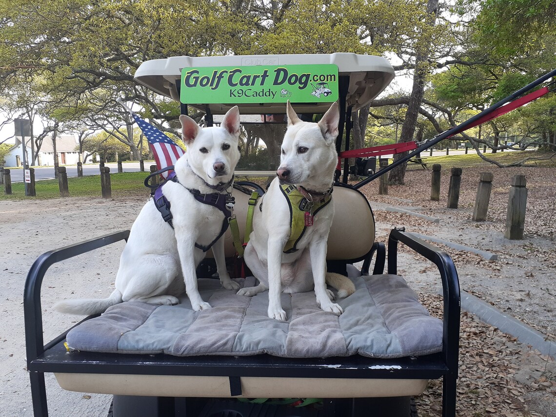 K9 Copilot® Golf Cart Tether - Etsy