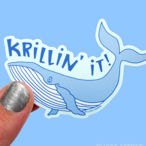 Humpback Whale Vinyl Sticker Whale Sticker Killin' It | Etsy