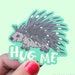 Porcupine Vinyl Sticker, Funny Sticker, Weatherproof, Hug Me Sticker ...