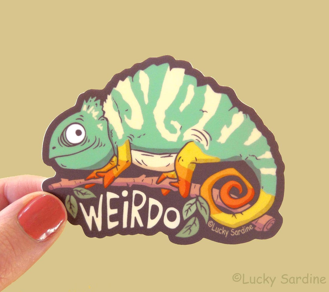 Chameleon Lizard, Weirdo Rainbow, Retro Magical Mood Vinyl Sticker - Etsy