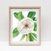 Magnolia Watercolor Print Trio, Louisiana State Flower, Mississippi ...