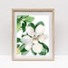 Magnolia Watercolor Print Trio, Louisiana State Flower, Mississippi ...