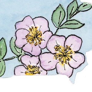 Iowa Wild Rose State Flower Silhouette Watercolor Print - Etsy