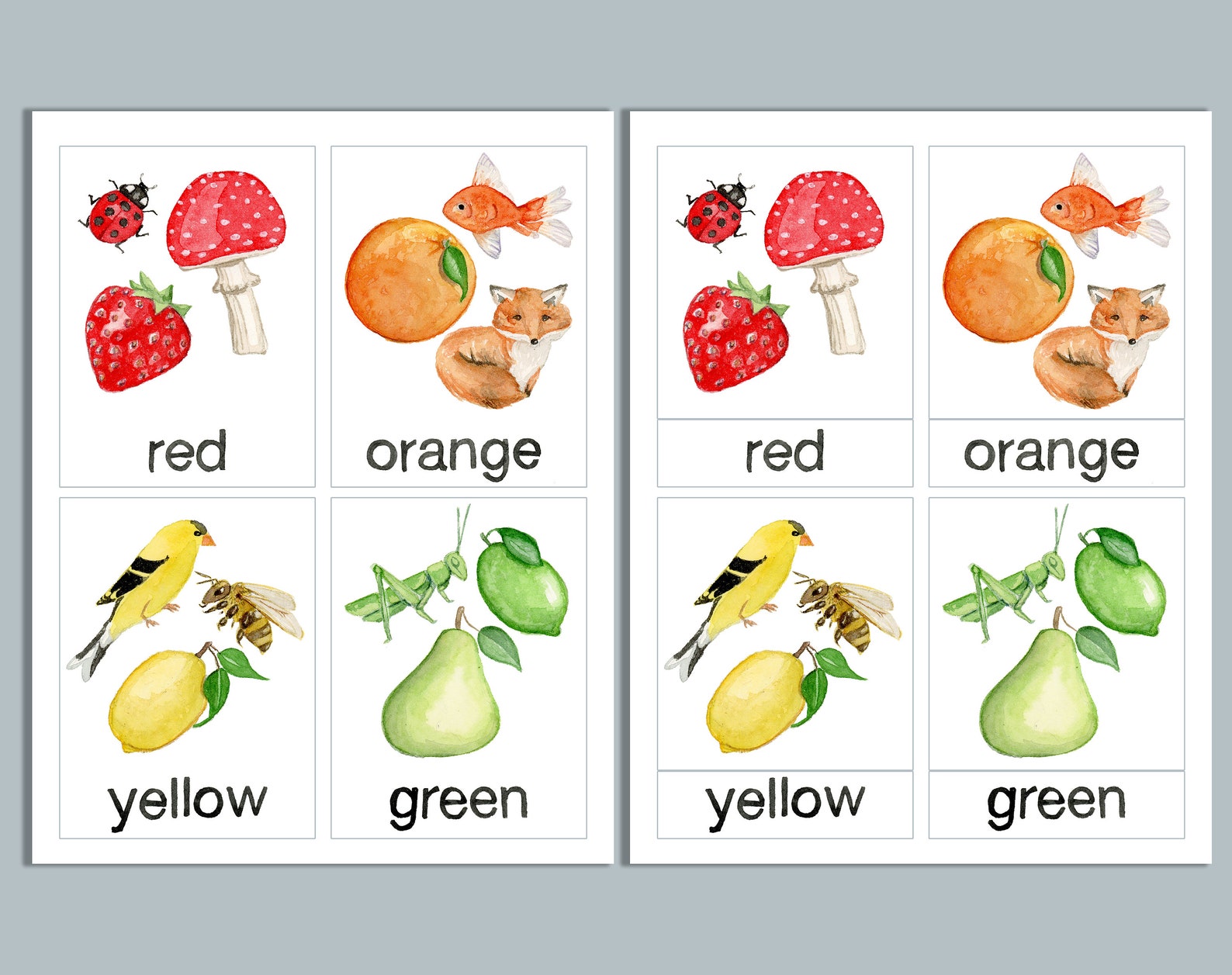 Digital Download 3 Part Nature Themed Color Cards Three Part - Etsy