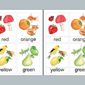 Digital Download 3 Part Nature Themed Color Cards, Three Part ...