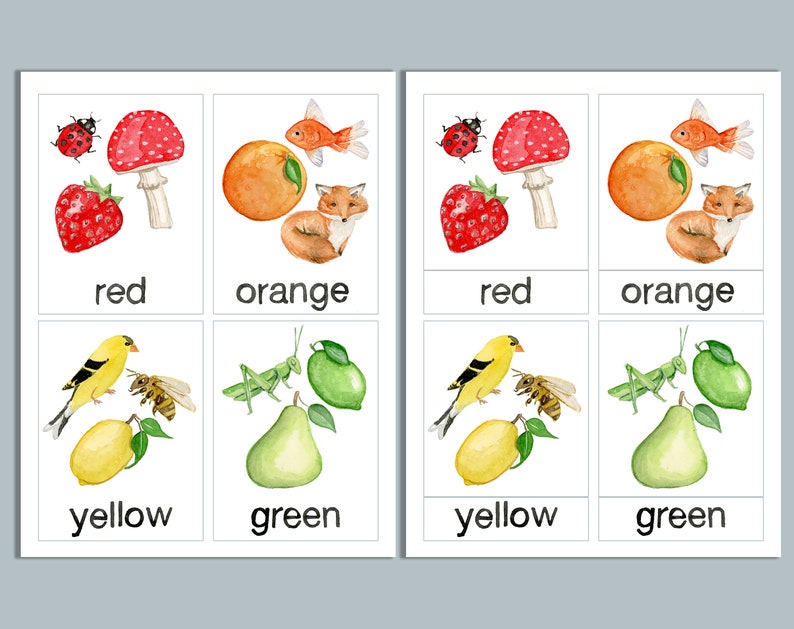 Digital Download 3 Part Nature Themed Color Cards, Three Part ...