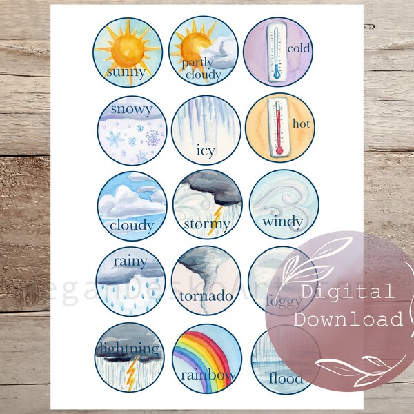 Weather Flashcards and Activities Earth Science Weather - Etsy Hong Kong