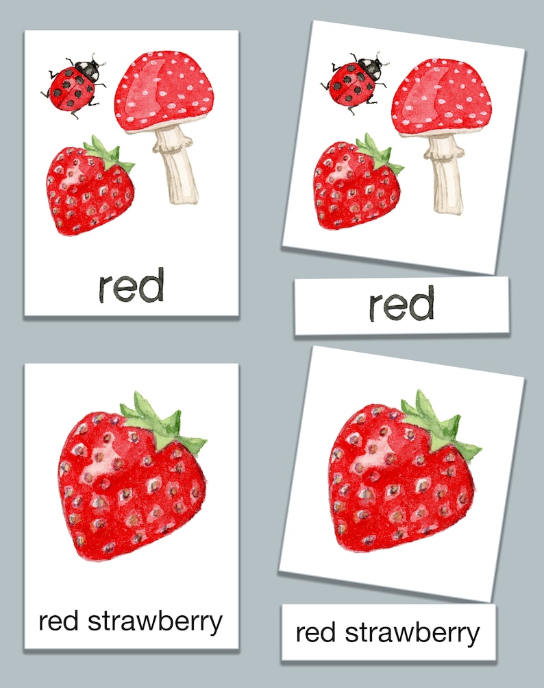 Digital Download 3 Part Nature Themed Color Cards, Three Part ...