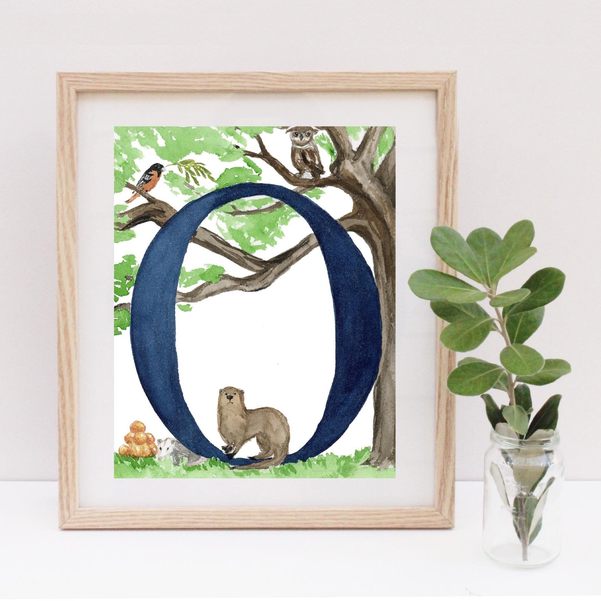 The Letter O In Nature