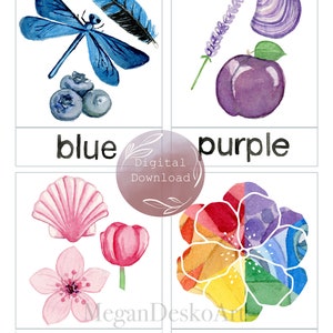 Digital Download 3 Part Nature Themed Color Cards, Three Part ...