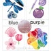 Digital Download 3 Part Nature Themed Color Cards, Three Part ...