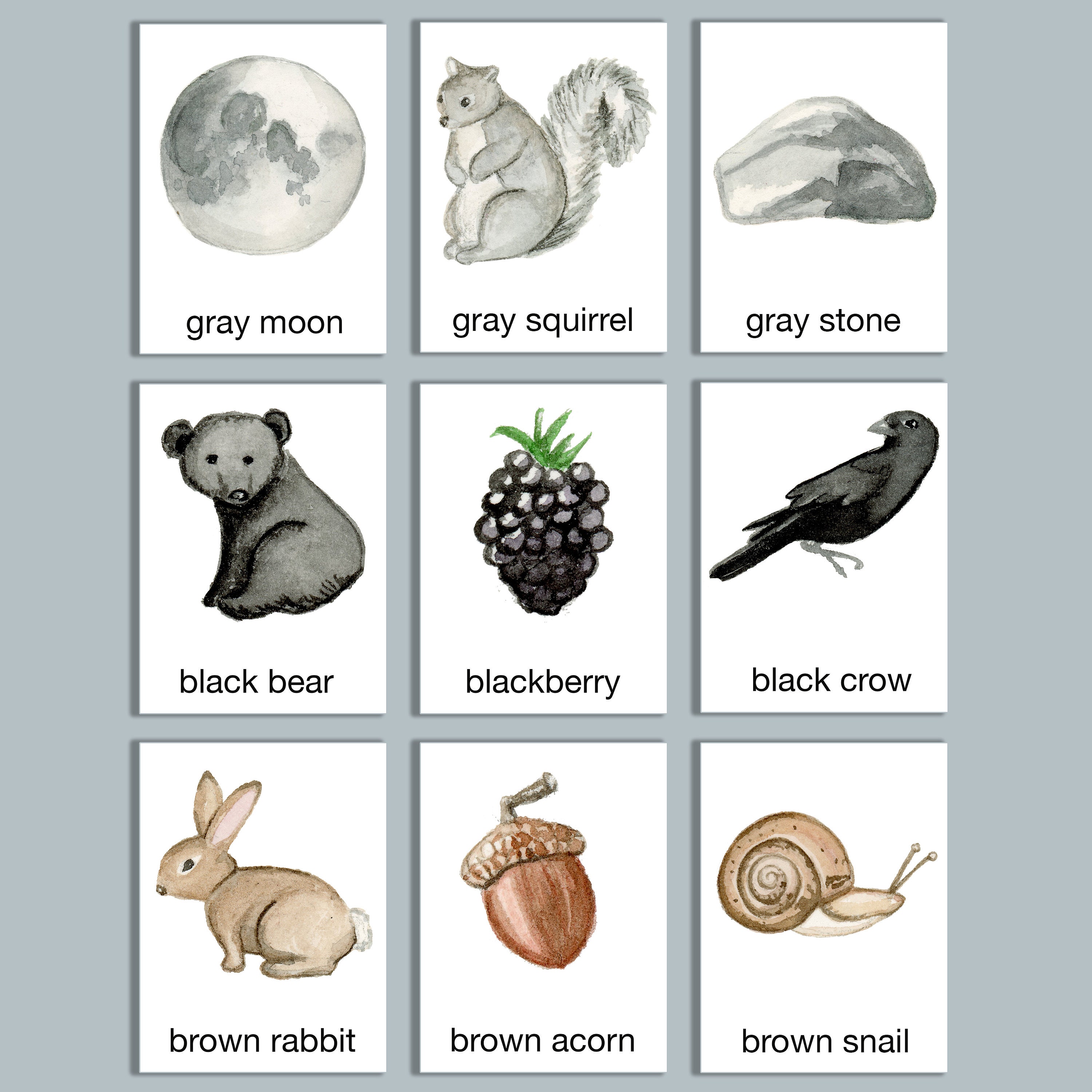 Digital Download 3 Part Nature Themed Color Cards, Three Part ...