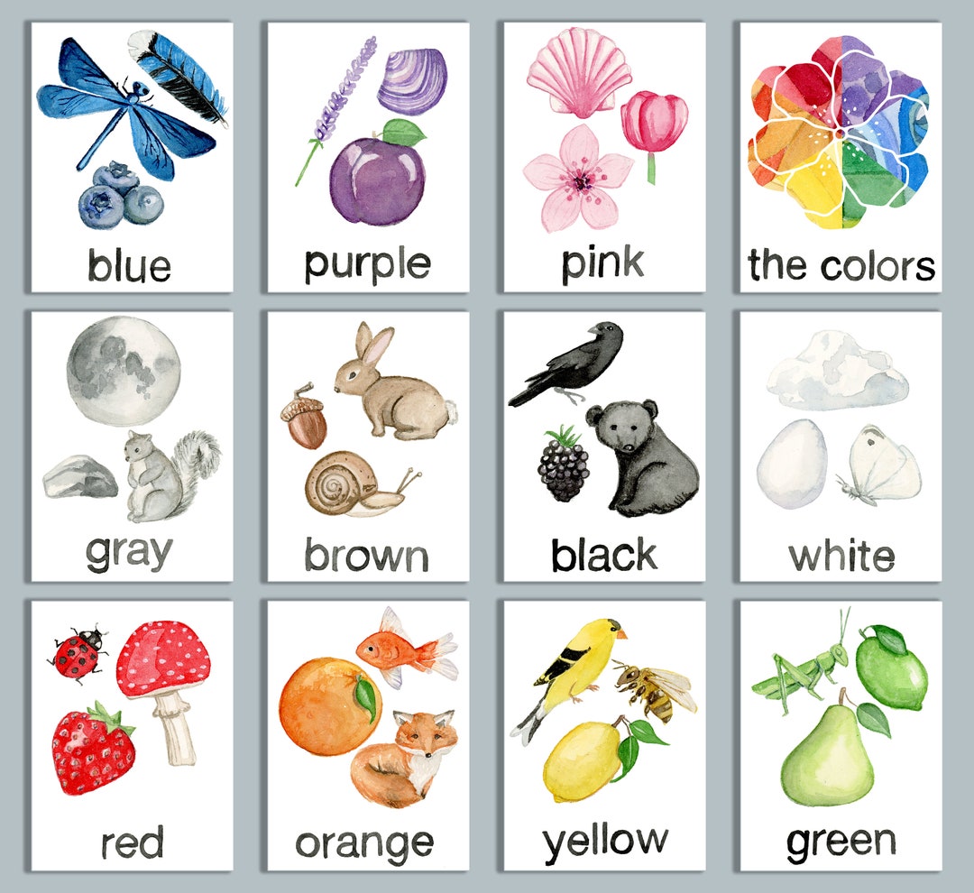 Digital Download 3 Part Nature Themed Color Cards, Three Part ...