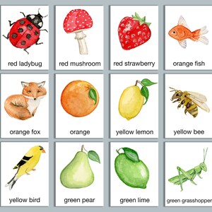 Digital Download 3 Part Nature Themed Color Cards, Three Part ...