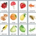 Digital Download 3 Part Nature Themed Color Cards, Three Part ...