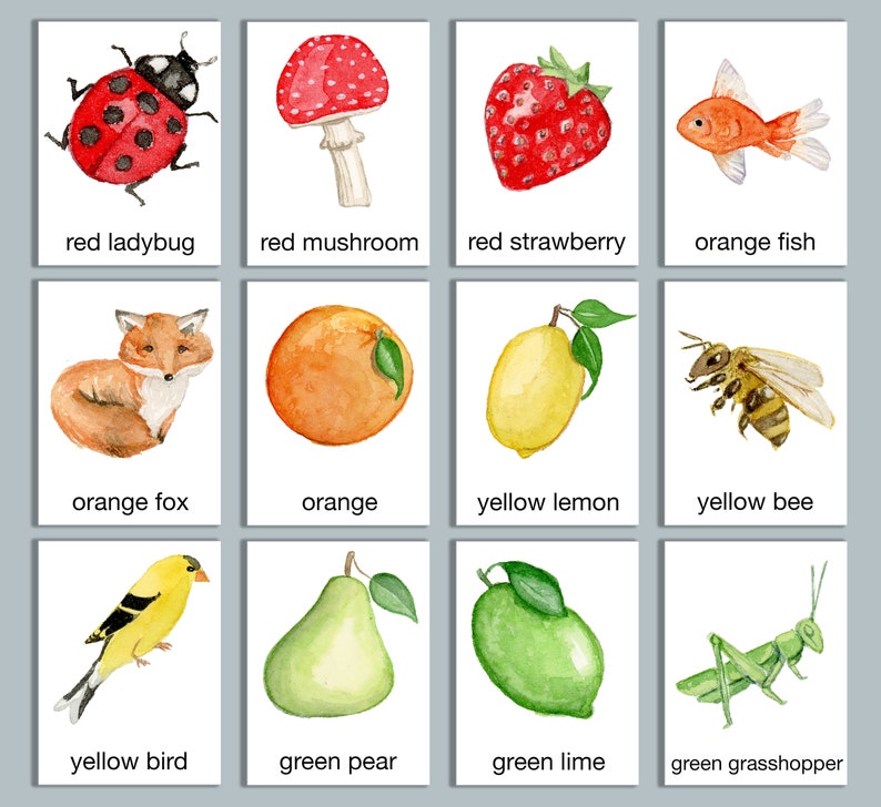 Digital Download 3 Part Nature Themed Color Cards Three Part - Etsy