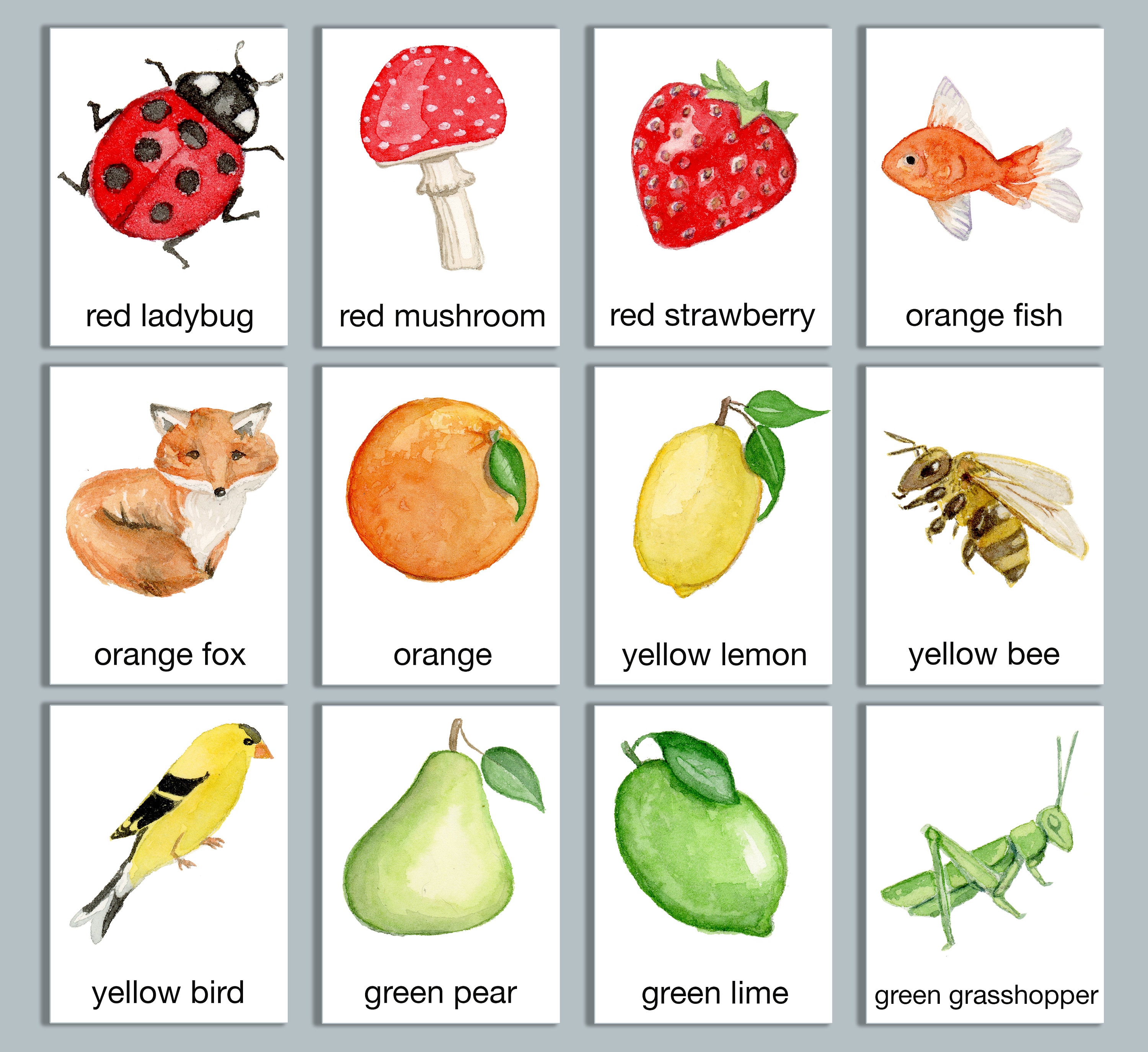 Digital Download 3 Part Nature Themed Color Cards, Three Part ...