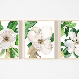 Magnolia Watercolor Print Trio, Louisiana State Flower, Mississippi ...