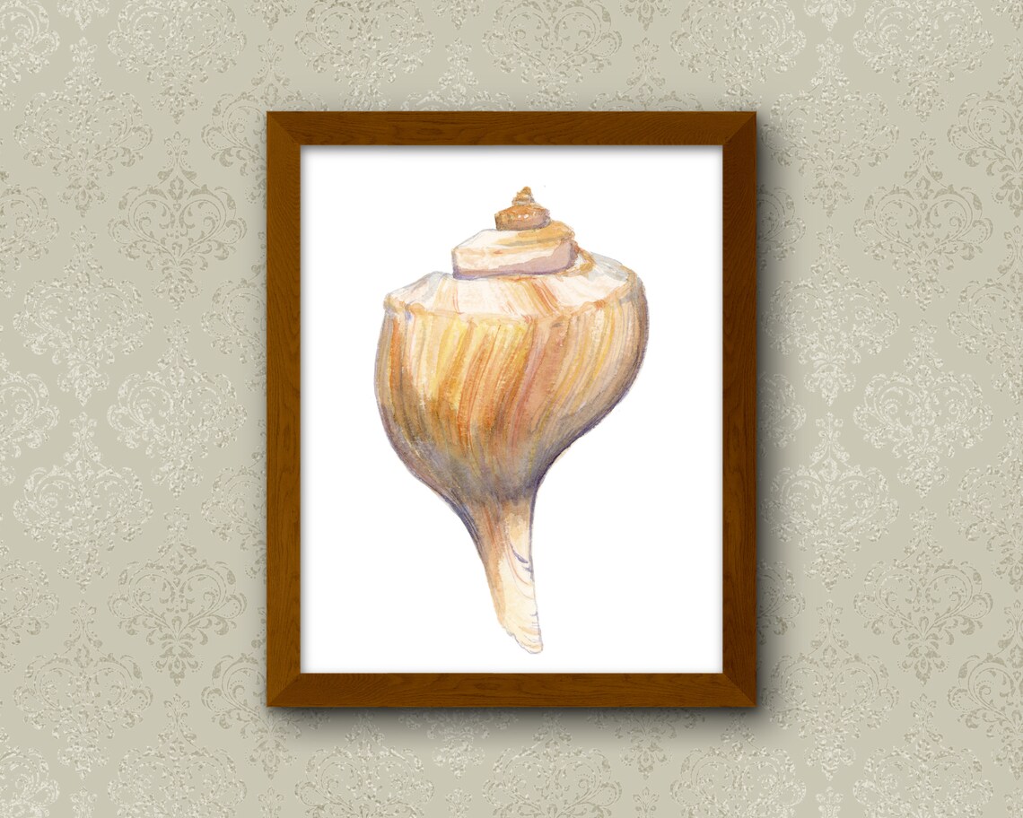 Set of Three Watercolor Seashell Prints - Etsy