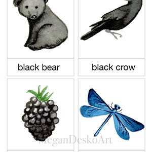 Digital Download 3 Part Nature Themed Color Cards, Three Part ...