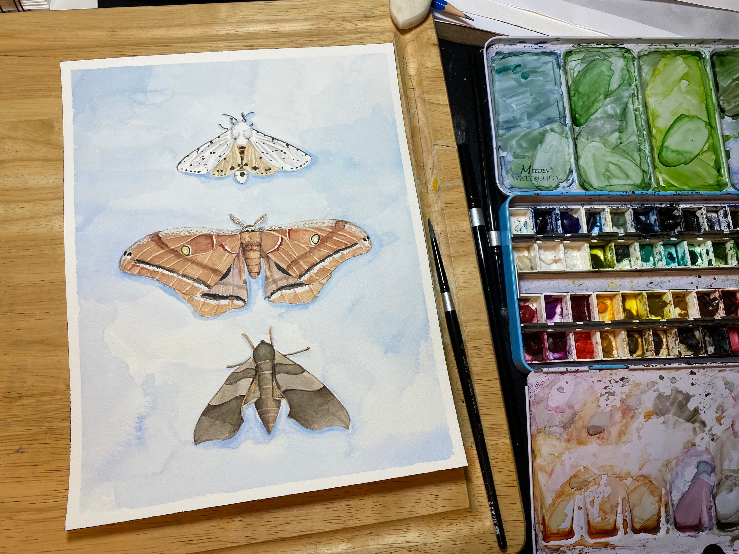 Moth Trio Watercolor Print Moth Nature Study Watercolor - Etsy