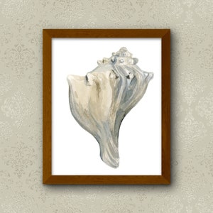 Set of Three Watercolor Seashell Prints - Etsy