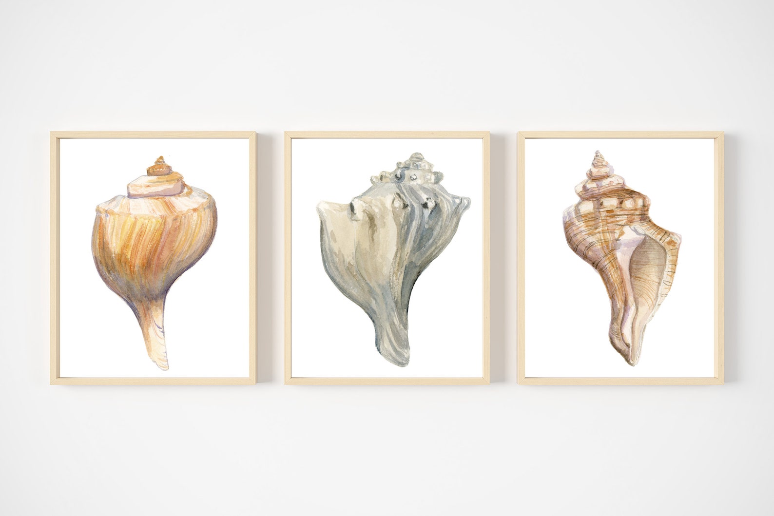 Set of Three Watercolor Seashell Prints - Etsy