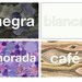 Digital Download Spanish Colors Spanish Color Flash Cards - Etsy