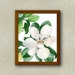 Magnolia Watercolor Print Trio, Louisiana State Flower, Mississippi ...