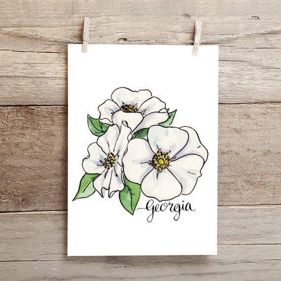 Georgia State Flower Cherokee Rose Watercolor Print | Etsy