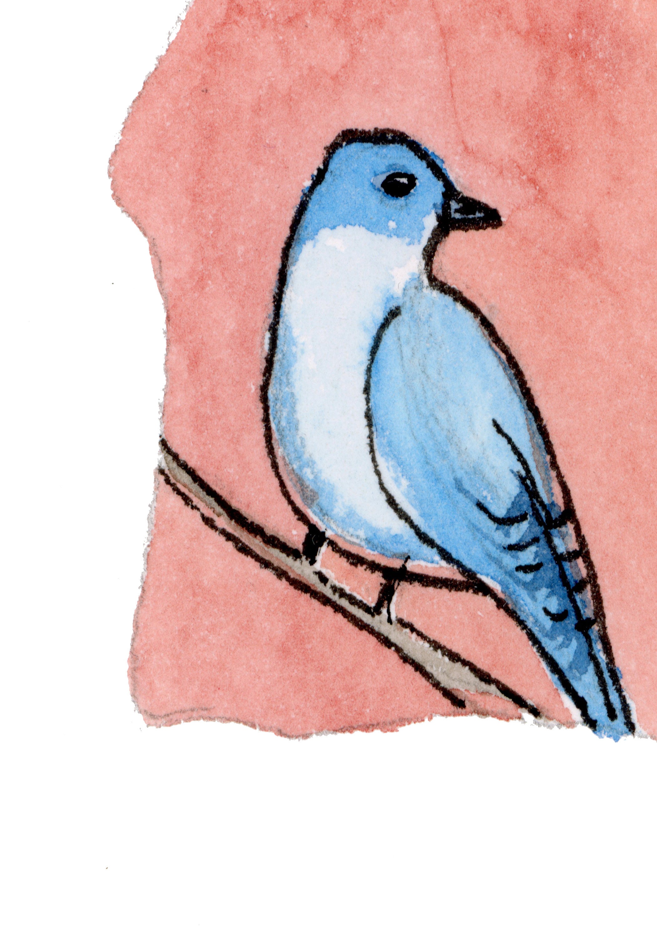 Idaho Mountain Bluebird State Silhouette Watercolor Print - Etsy