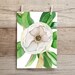 Magnolia Watercolor Print Trio, Louisiana State Flower, Mississippi ...