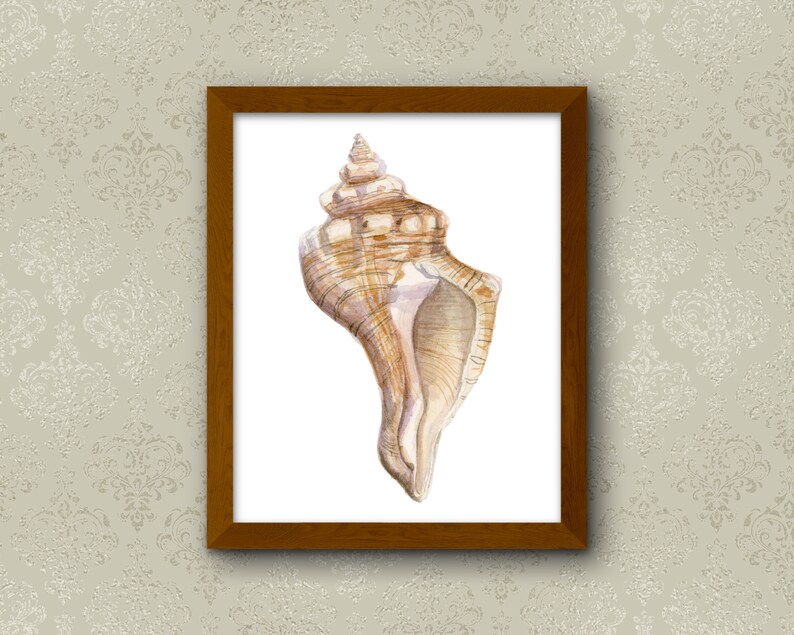 Set of Three Watercolor Seashell Prints - Etsy