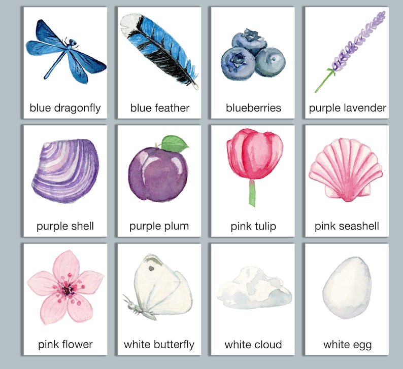 Digital Download 3 Part Nature Themed Color Cards Three Part - Etsy