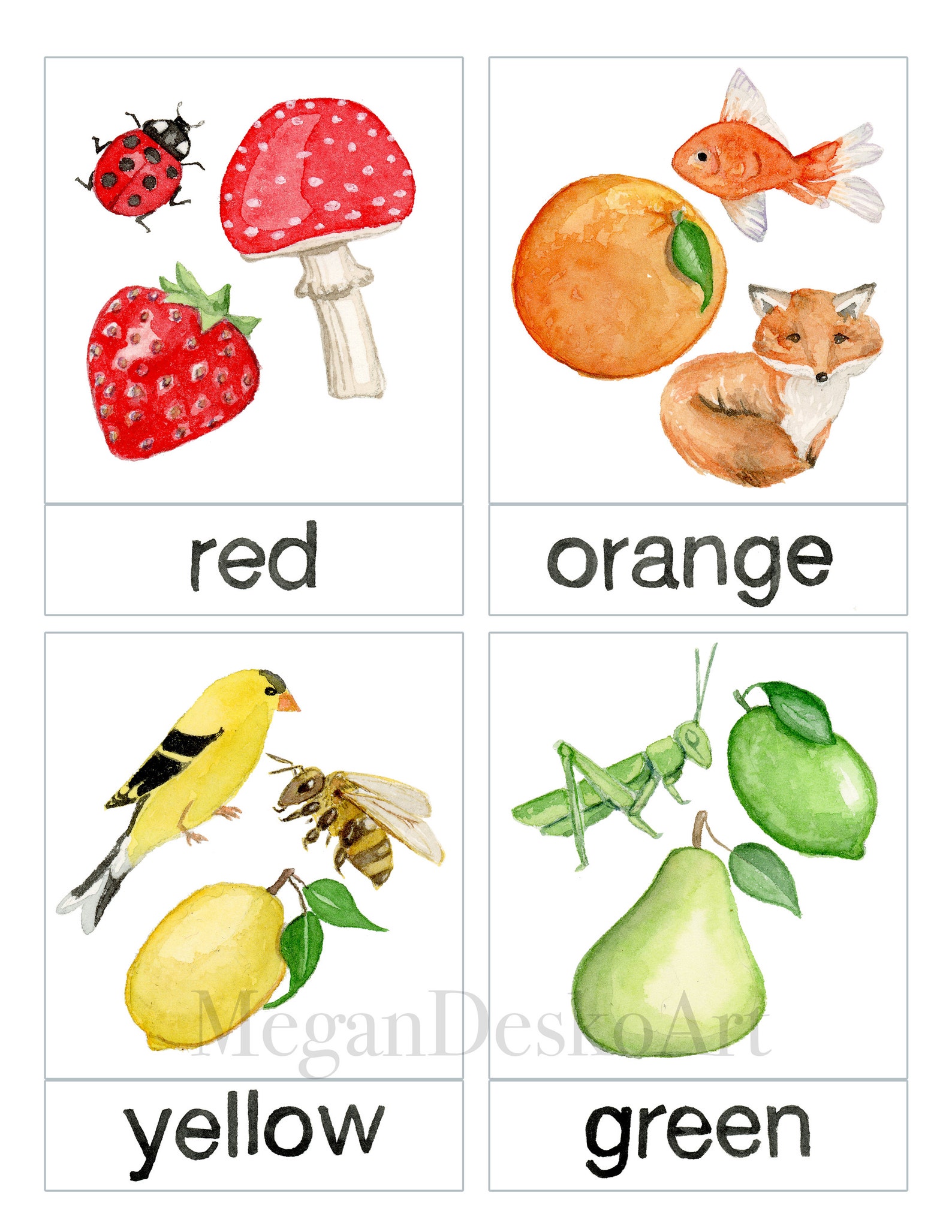 Digital Download 3 Part Nature Themed Color Cards Three Part - Etsy