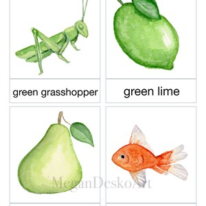 Digital Download 3 Part Nature Themed Color Cards, Three Part ...