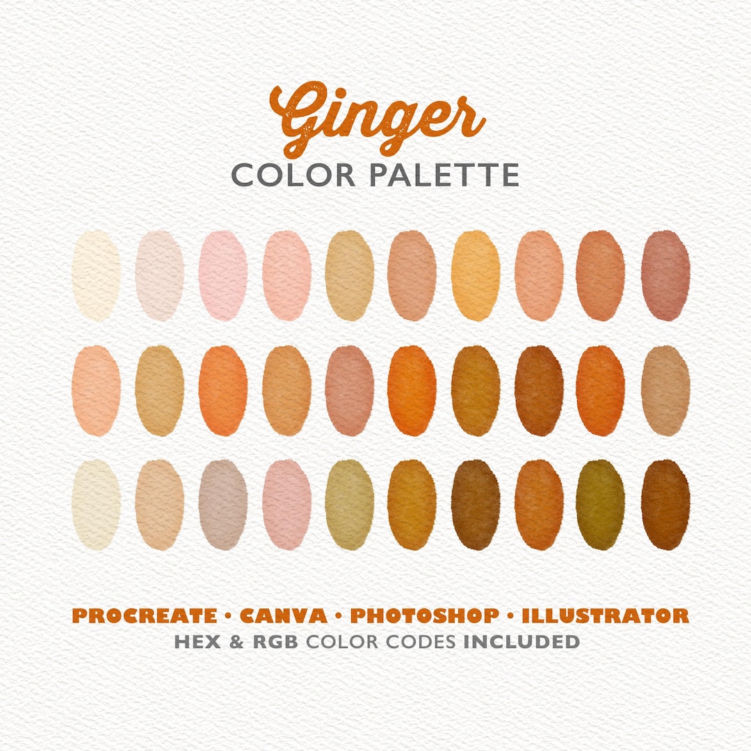 Procreate Color Palette, Colors Canva, Ginger Color Palette, Colour ...