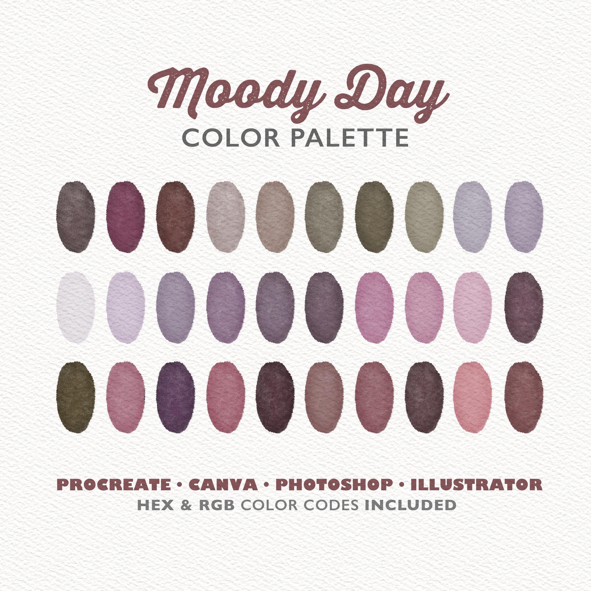 Procreate Color Palette, Colors Canva, Moody Day Color Palette ...