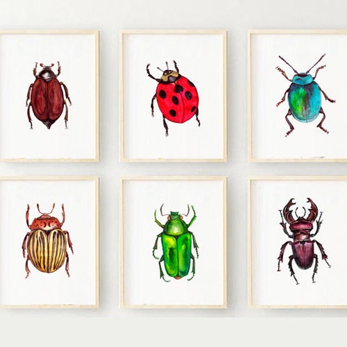 Insect Alphabet Print Nursery Wall Art Bugs Print | Etsy