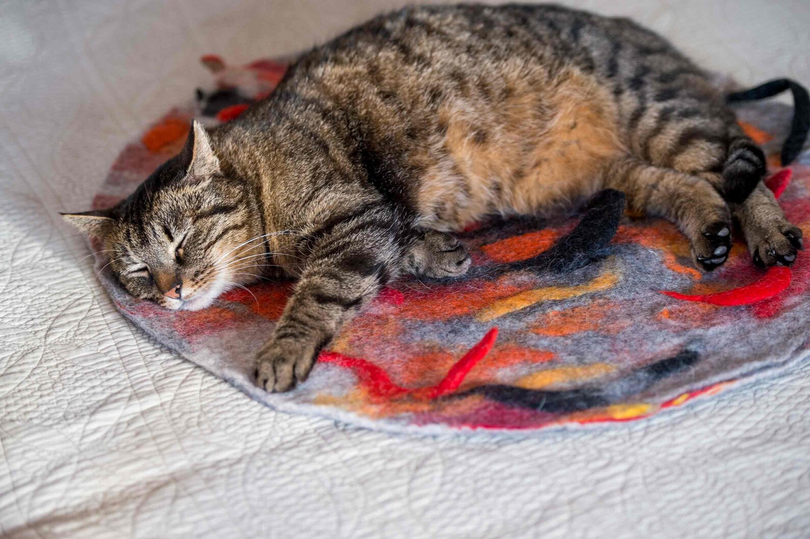 Felted Wool Cat Bed Washable Cat Mat Pet Bed Gift for Cat | Etsy