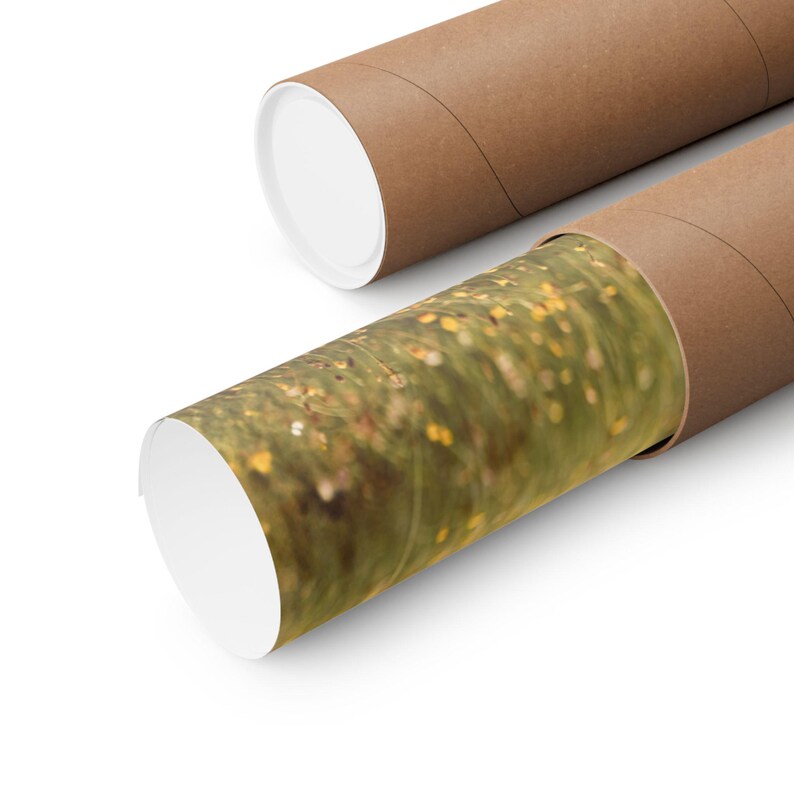 Highland Cow Matte Poster - Etsy