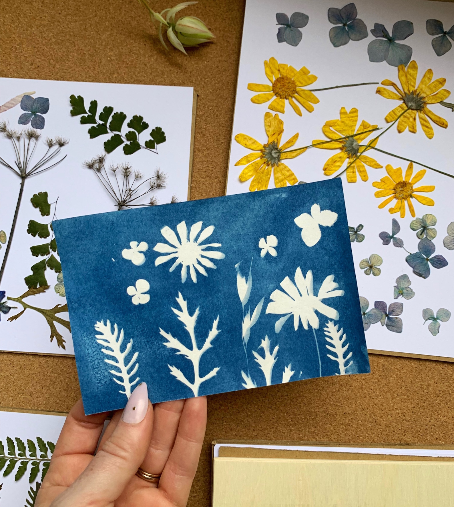 DIY Solar Printing Kit Craft Kit Cyanotype Kit Solar - Etsy