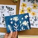 DIY Solar Printing Kit , Craft Kit , Cyanotype , Kit , Solar Printing ...