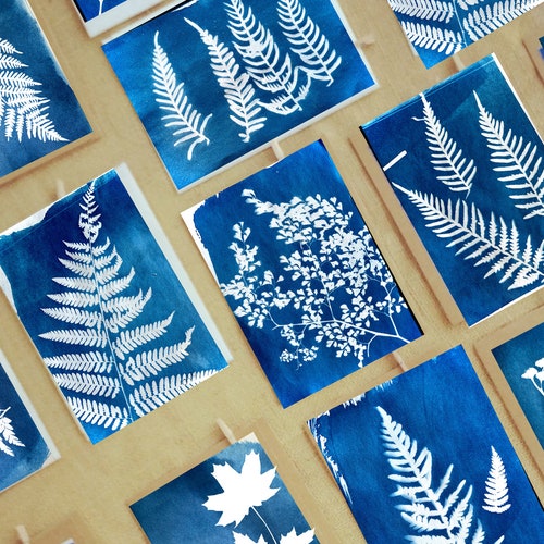 DIY Cyanotype Sun Printing Kit - Etsy