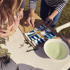 Cyanotype Solar Printing Kit: Nature Art, DIY Craft - Etsy
