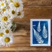 DIY Solar Printing Kit , Craft Kit , Cyanotype , Kit , Solar Printing ...