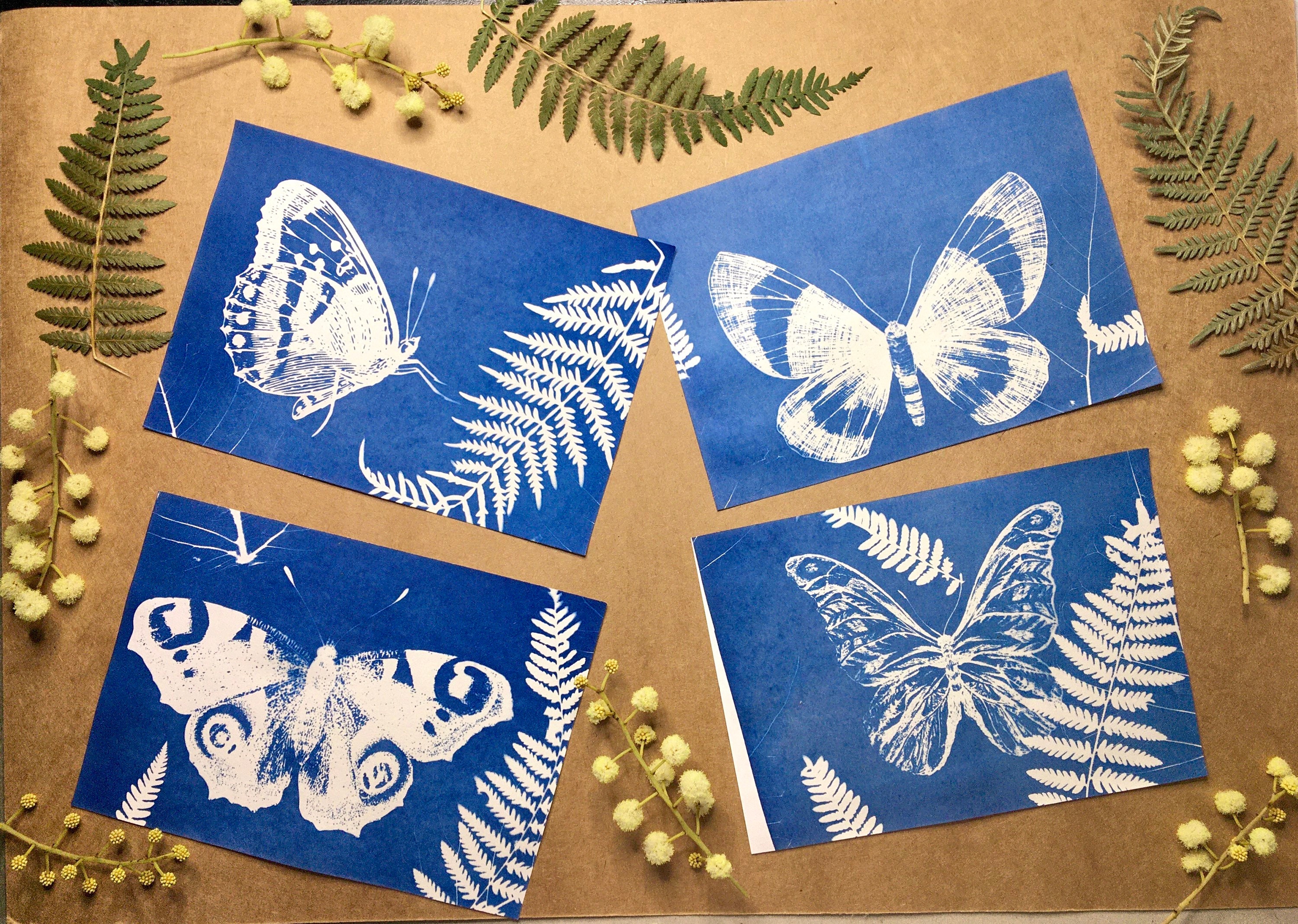 Cyanotype Stencil Kit Sun Printing Kit Butterfly Edition - Etsy UK