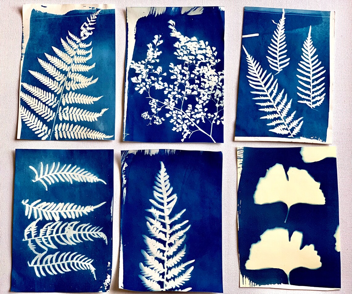 Solar printing kit craft eco friendly DIY Solar printing | Etsy