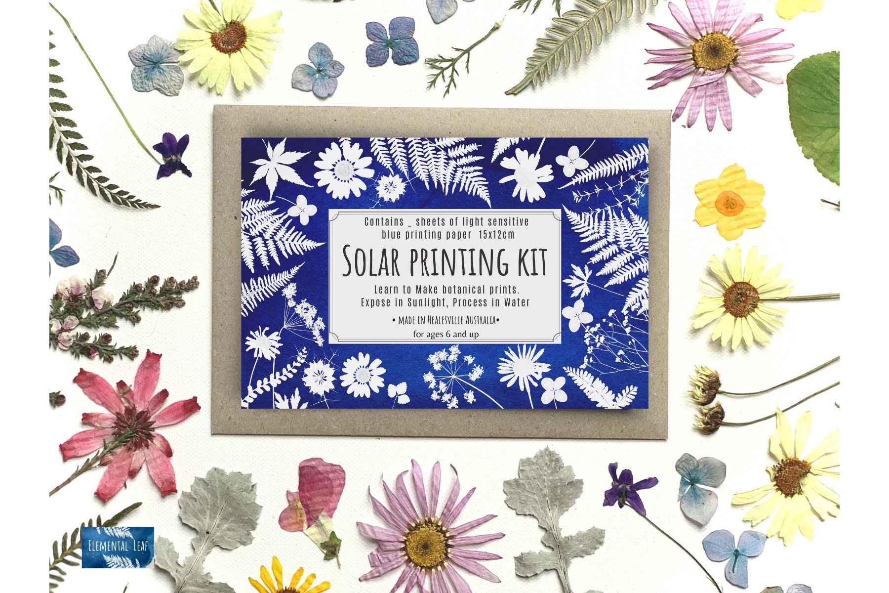 DIY Solar Printing Kit Craft Kit Cyanotype Kit Solar - Etsy Australia